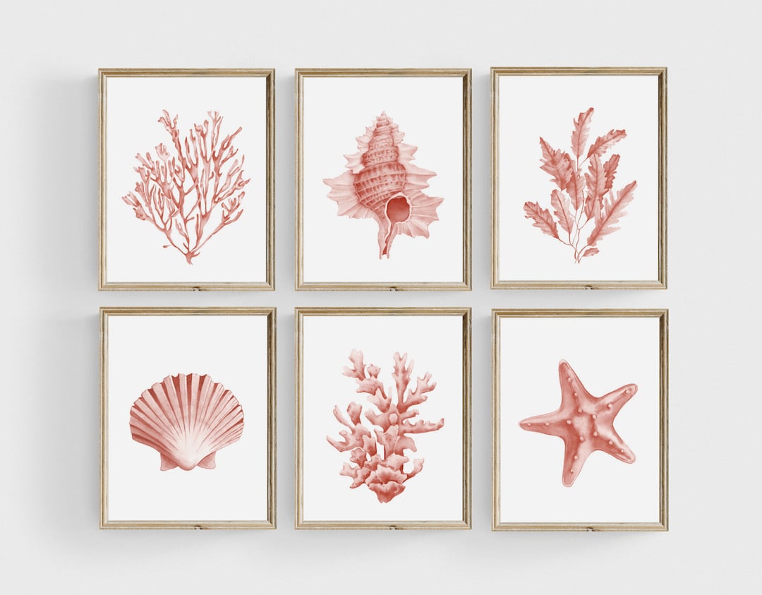 Coral Seashells Prints Set of 6. Coastal Printable Wall Art. Beach ...