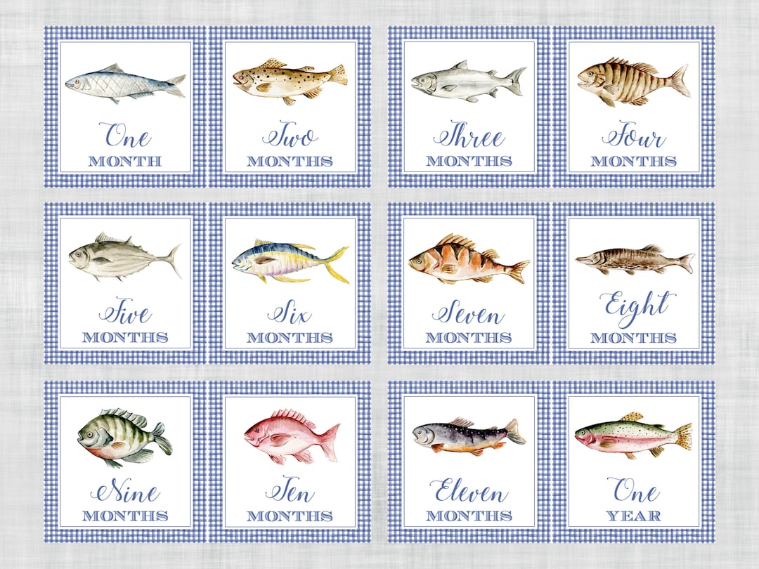 Fish Milestone Cards - Blue Gingham - Etsy