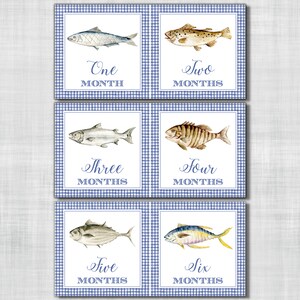 Fish Milestone Cards - Blue Gingham - Etsy