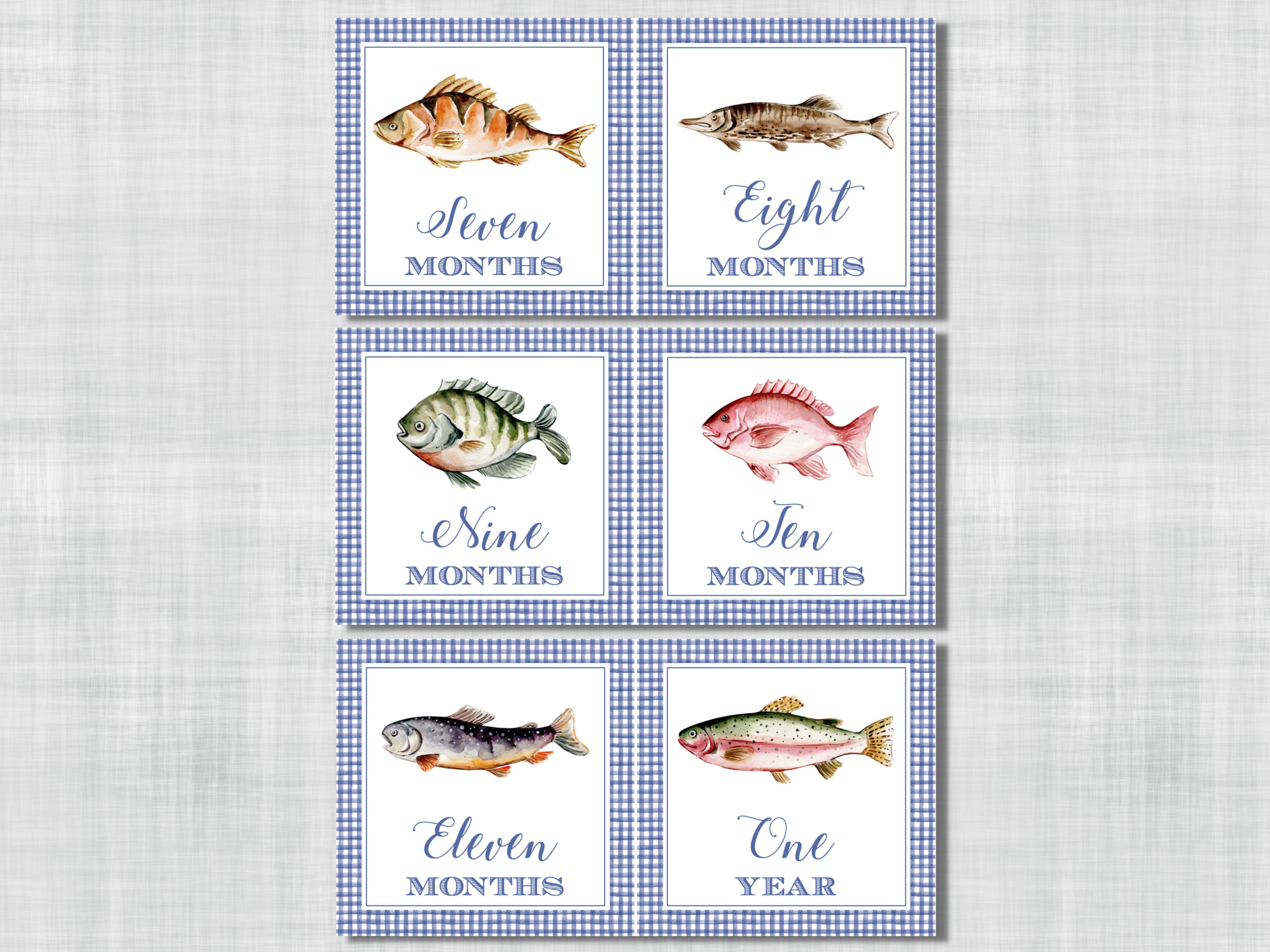 Fish Milestone Cards - Blue Gingham - Etsy
