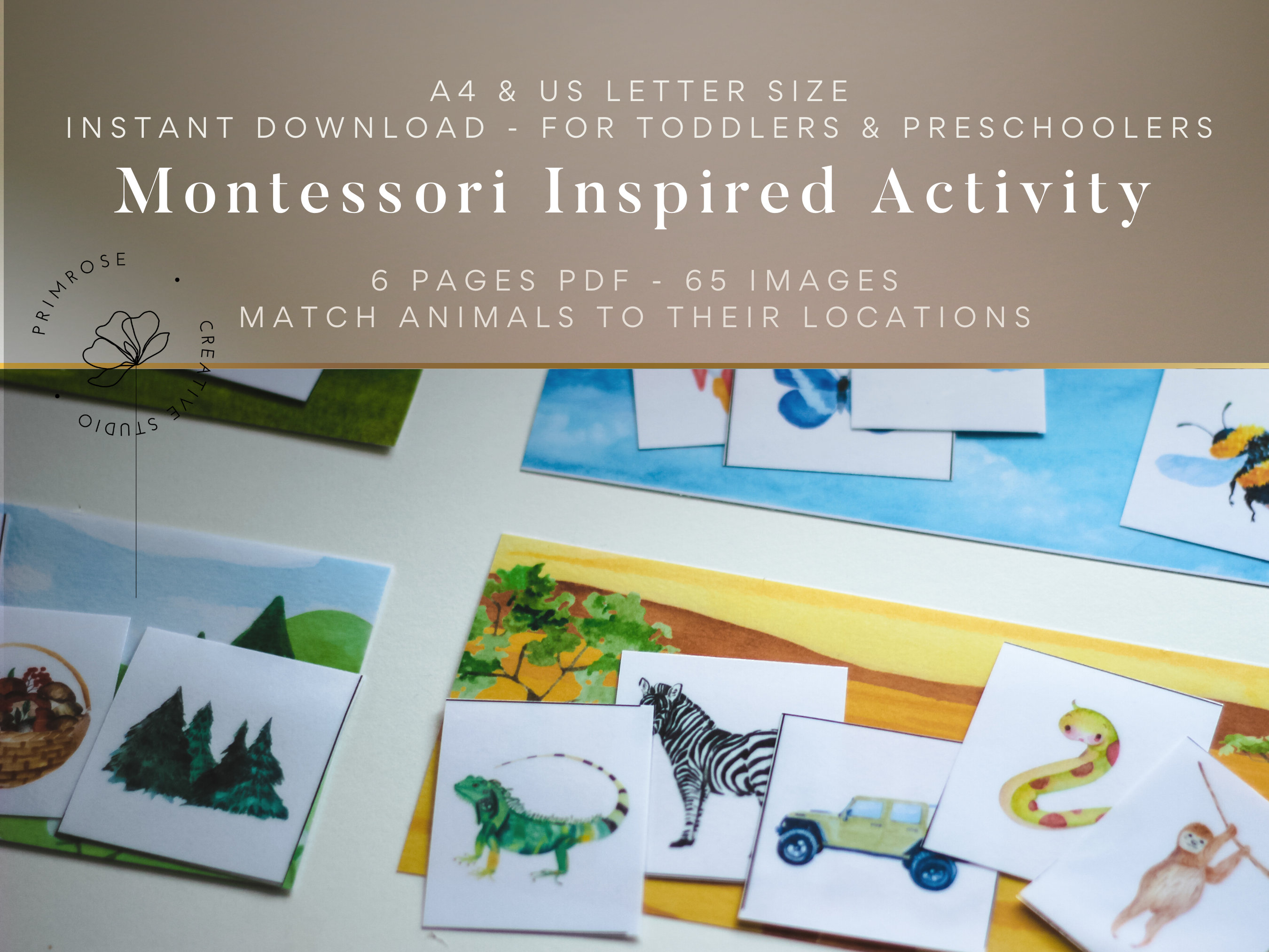 Montessori Printable Activity Matching Sorting Activity for Toddlers ...