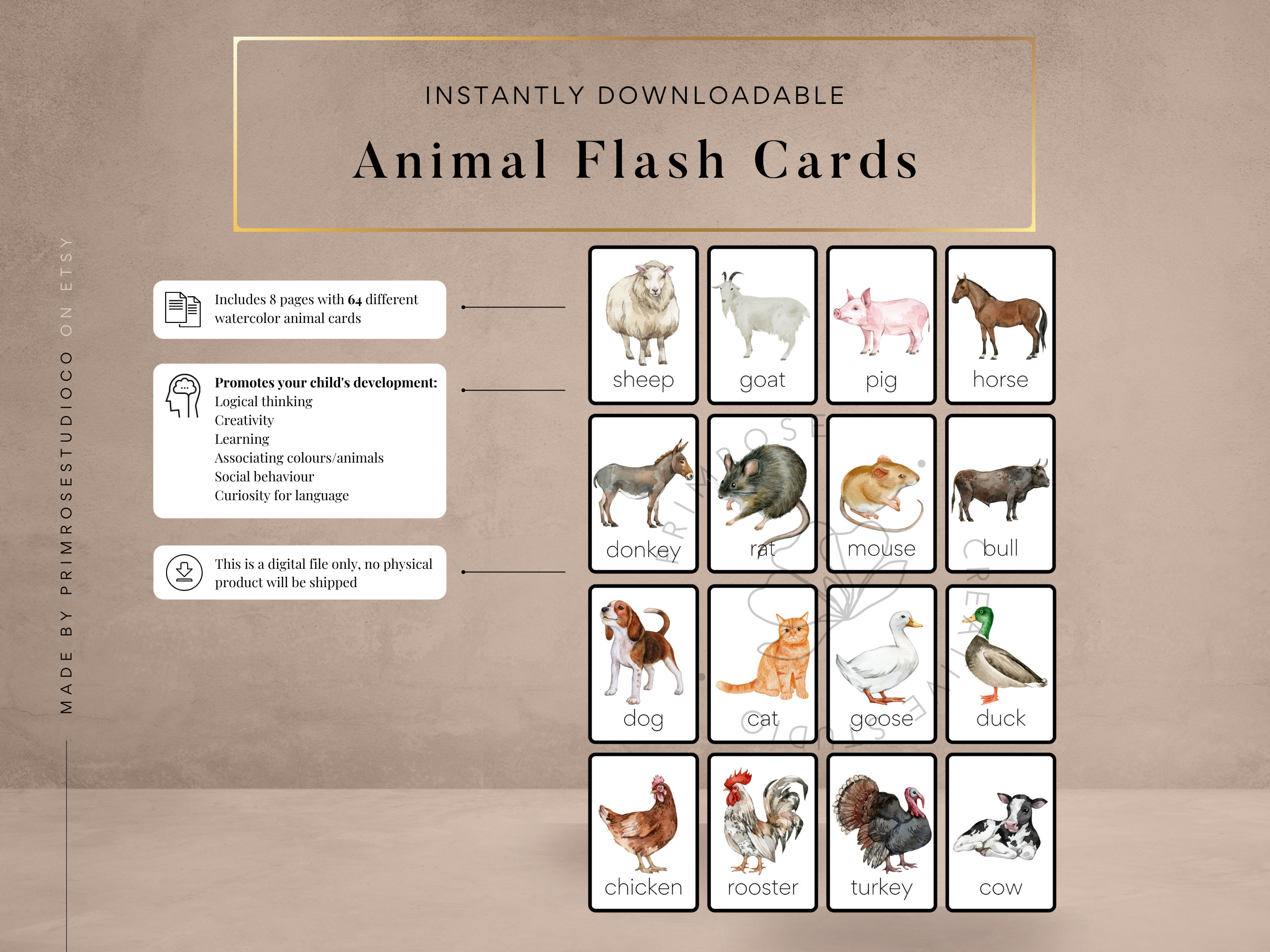 Digital Animal Flash Cards Montessori Animal Printable - Etsy