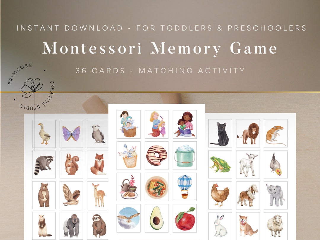 Montessori Printable Activity Matching Memory Activity for Toddlers and ...