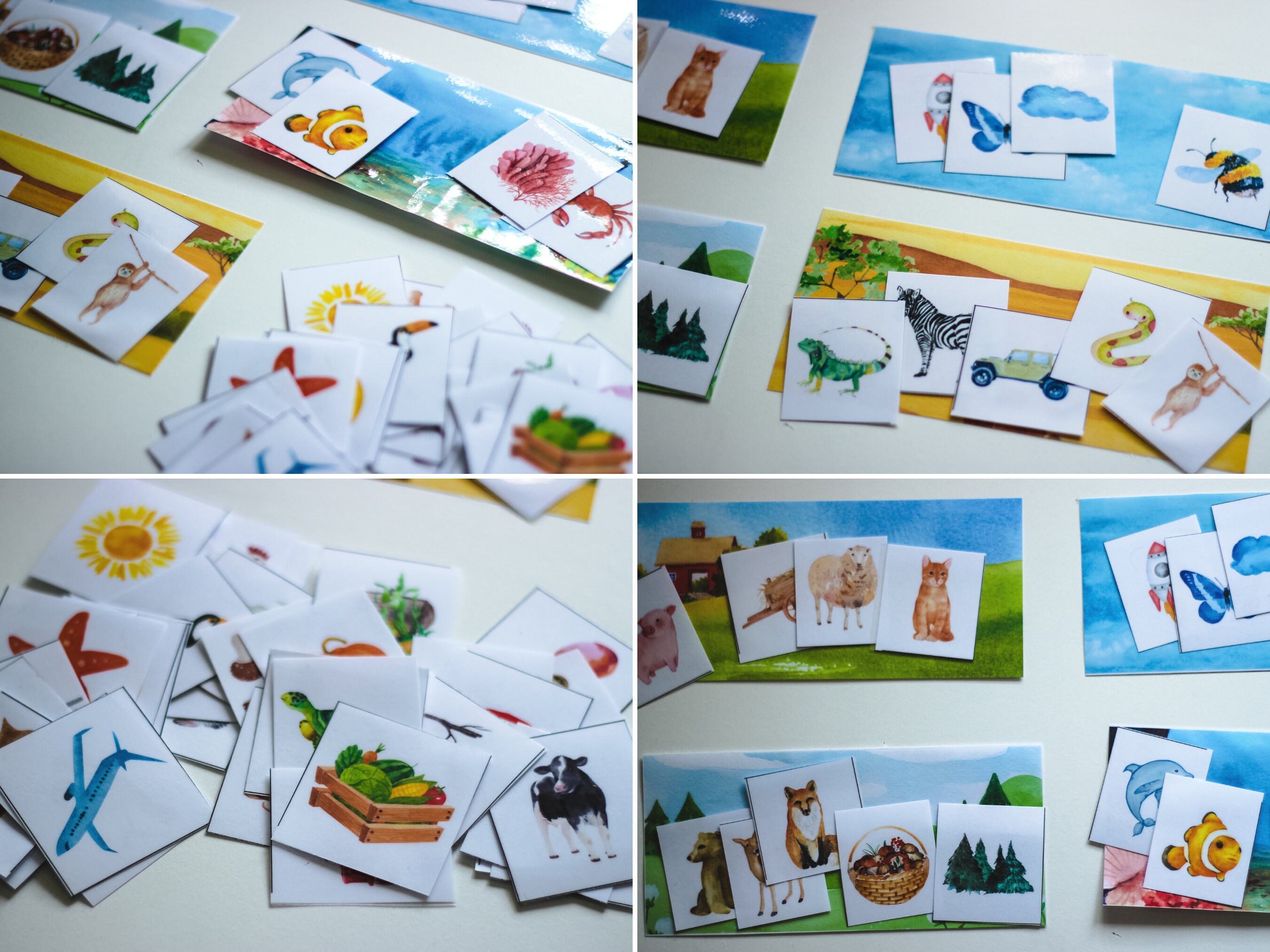 Montessori Printable Activity Matching Sorting Activity for Toddlers ...