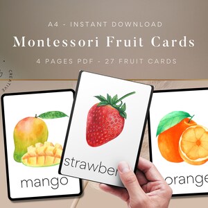 Digital Fruits Flash Cards Montessori Fruits Printable - Etsy