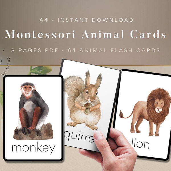 Animal Flash Cards - Etsy