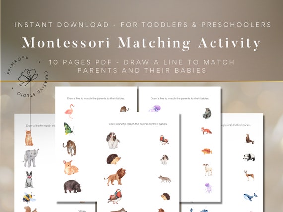Montessori Printable Activity Matching Game Activity for | Etsy