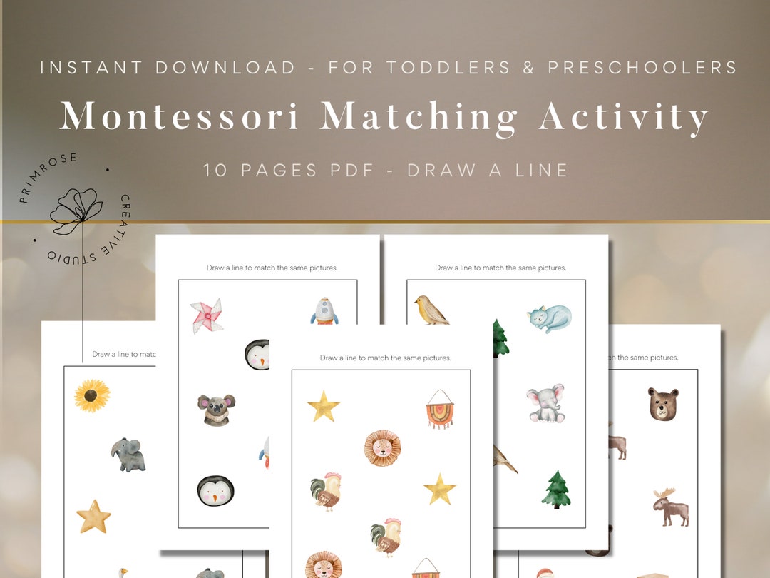 Montessori Printable Activity Matching Game Activity for - Etsy
