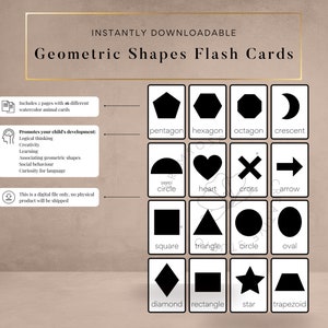 Digital Geometric Shapes Flash Cards Montessori Shapes Printable ...