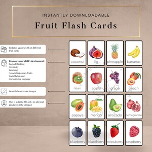 Digital Fruits Flash Cards Montessori Fruits Printable - Etsy
