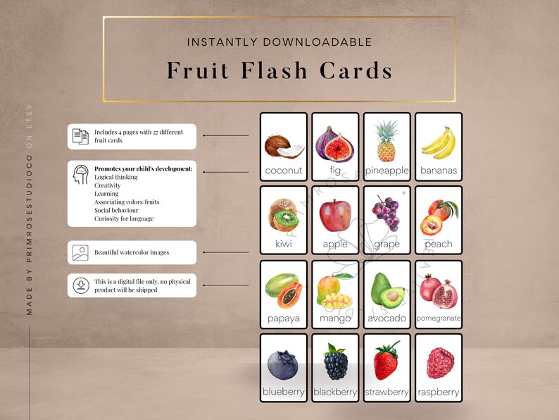Digital Fruits Flash Cards Montessori Fruits Printable - Etsy