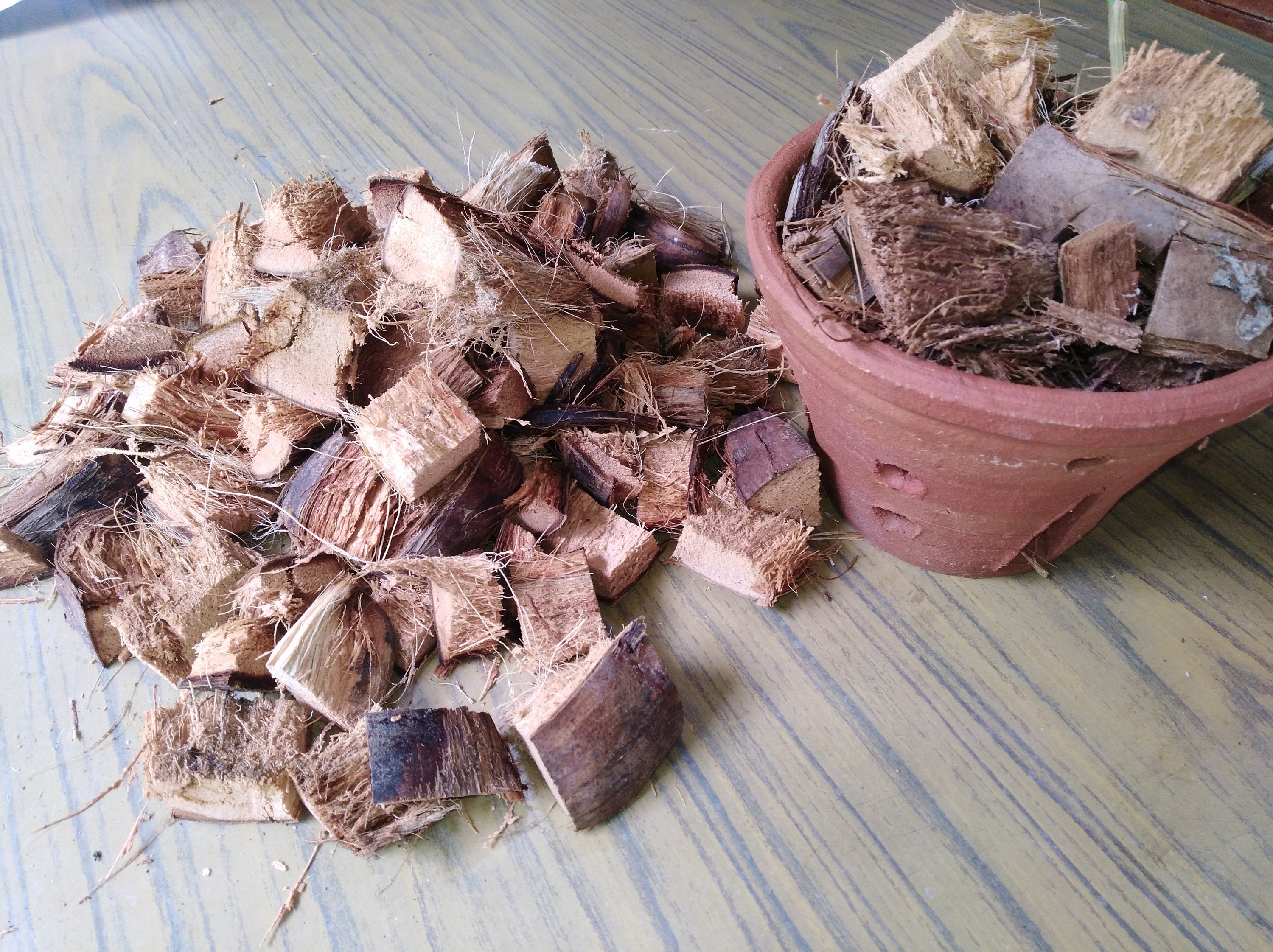 Cáscara de coco orgánica Cáscara de coco Piezas de cáscara de coco 100% ...