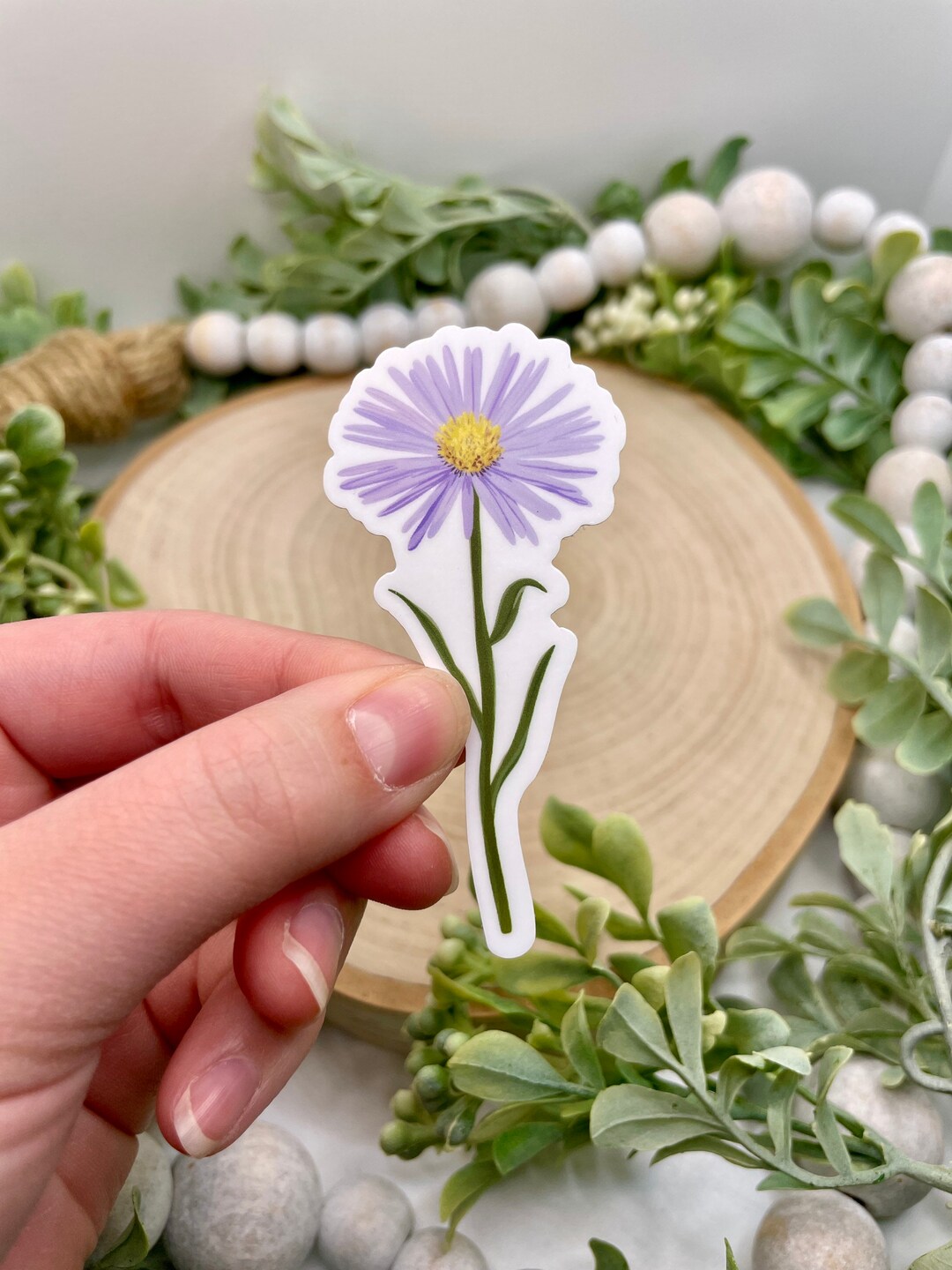 Aster Vinyl Sticker/magnet - Etsy