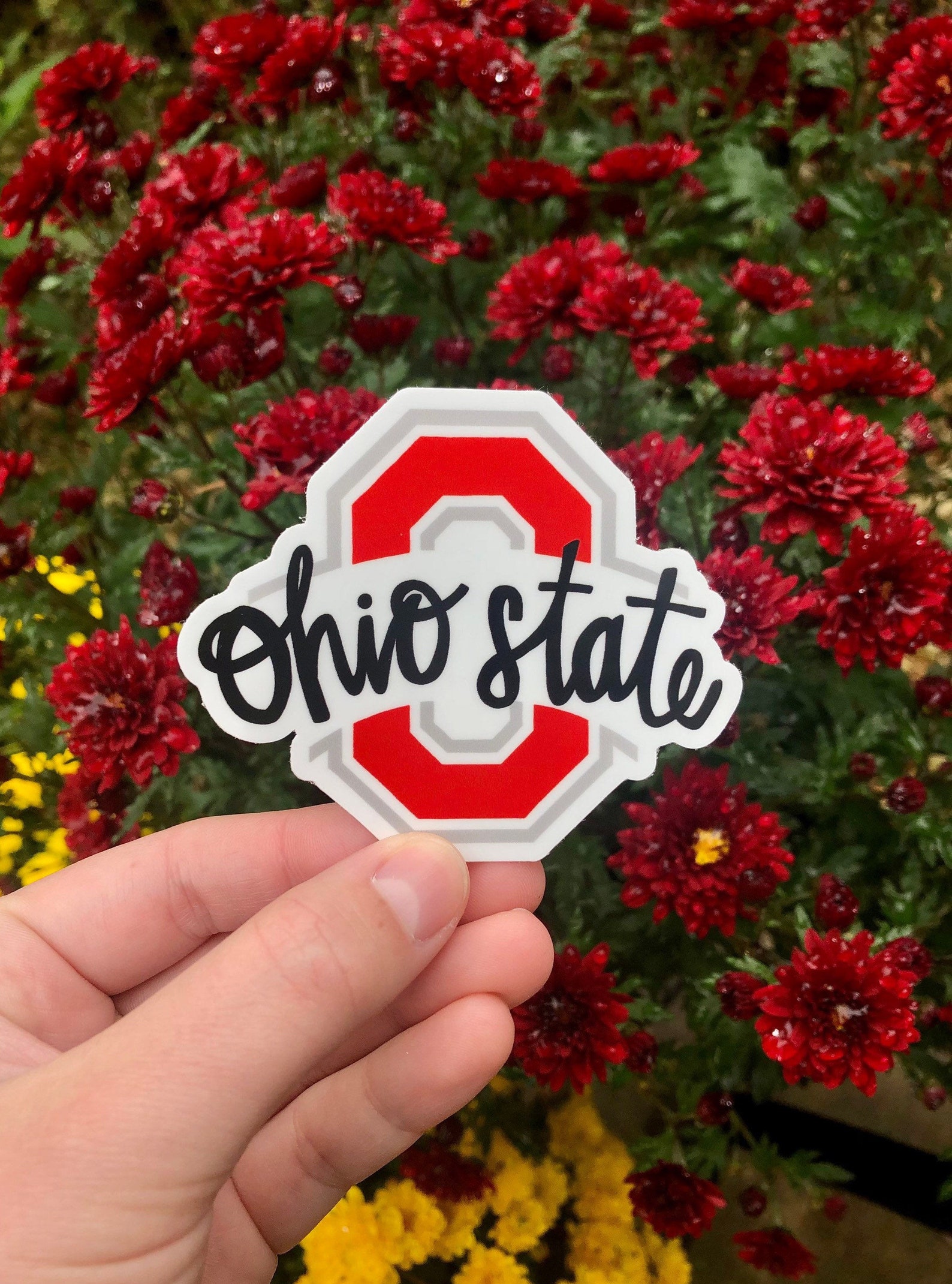 Ohio State Vinyl Sticker/magnet/sticker Packs | Etsy