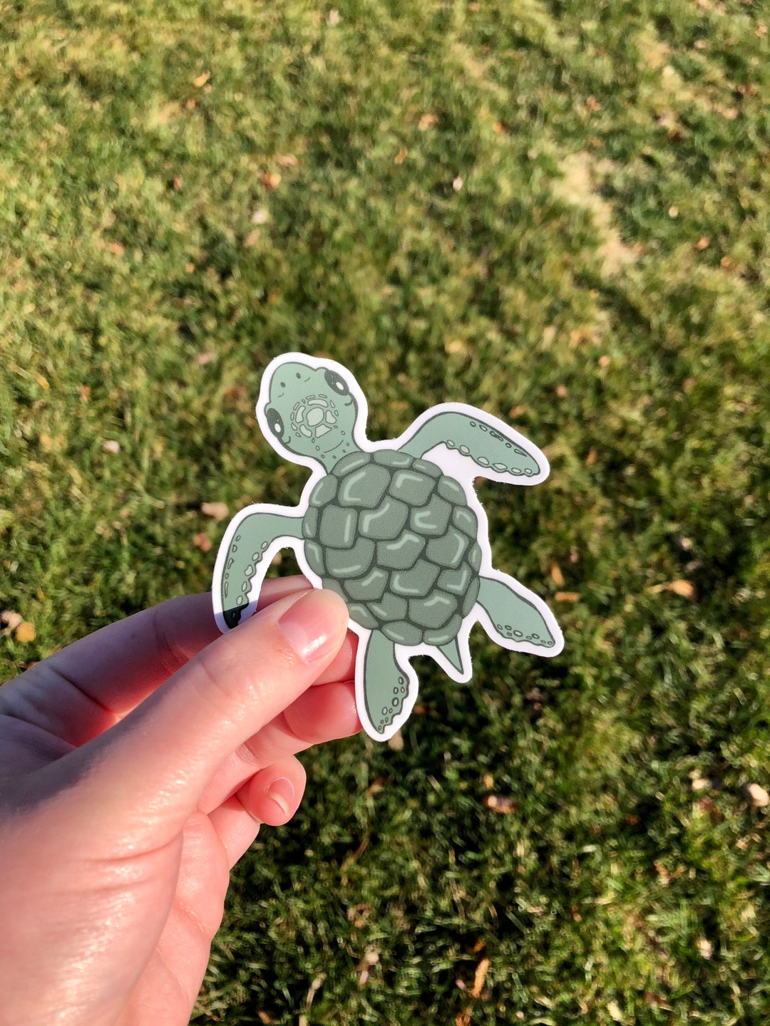 Tortuga Marina vinilo pegatina / imán - Etsy España