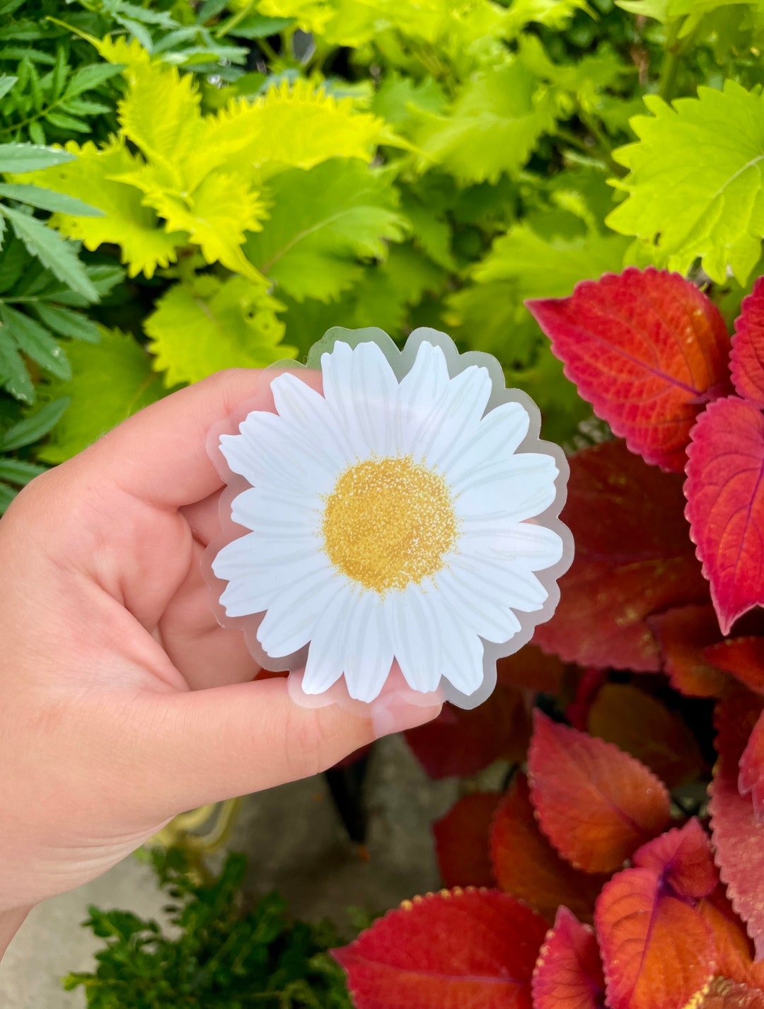 Daisy Clear Vinyl Sticker - Etsy