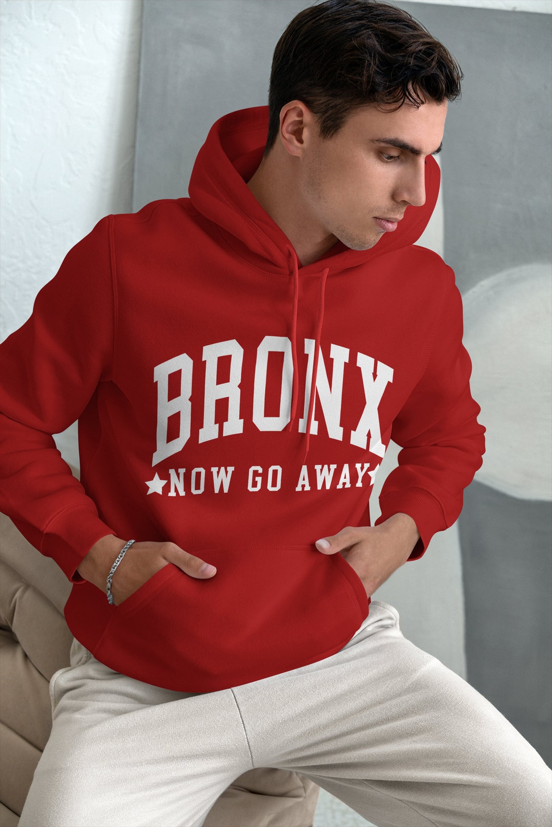 Funny Bronx Now Go Away Hoodie, Unisex New York City Gifts, NYC ...