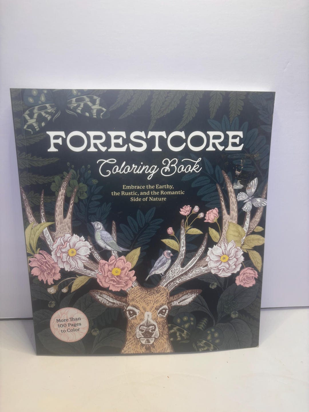 Forestcore Coloring Book 100 Pages of Rustic & Romantic Nature-inspired ...