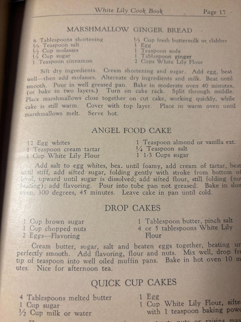 Rare 1931 White Lily Flour Cookbook Vintage Knoxville TN Collectible ...
