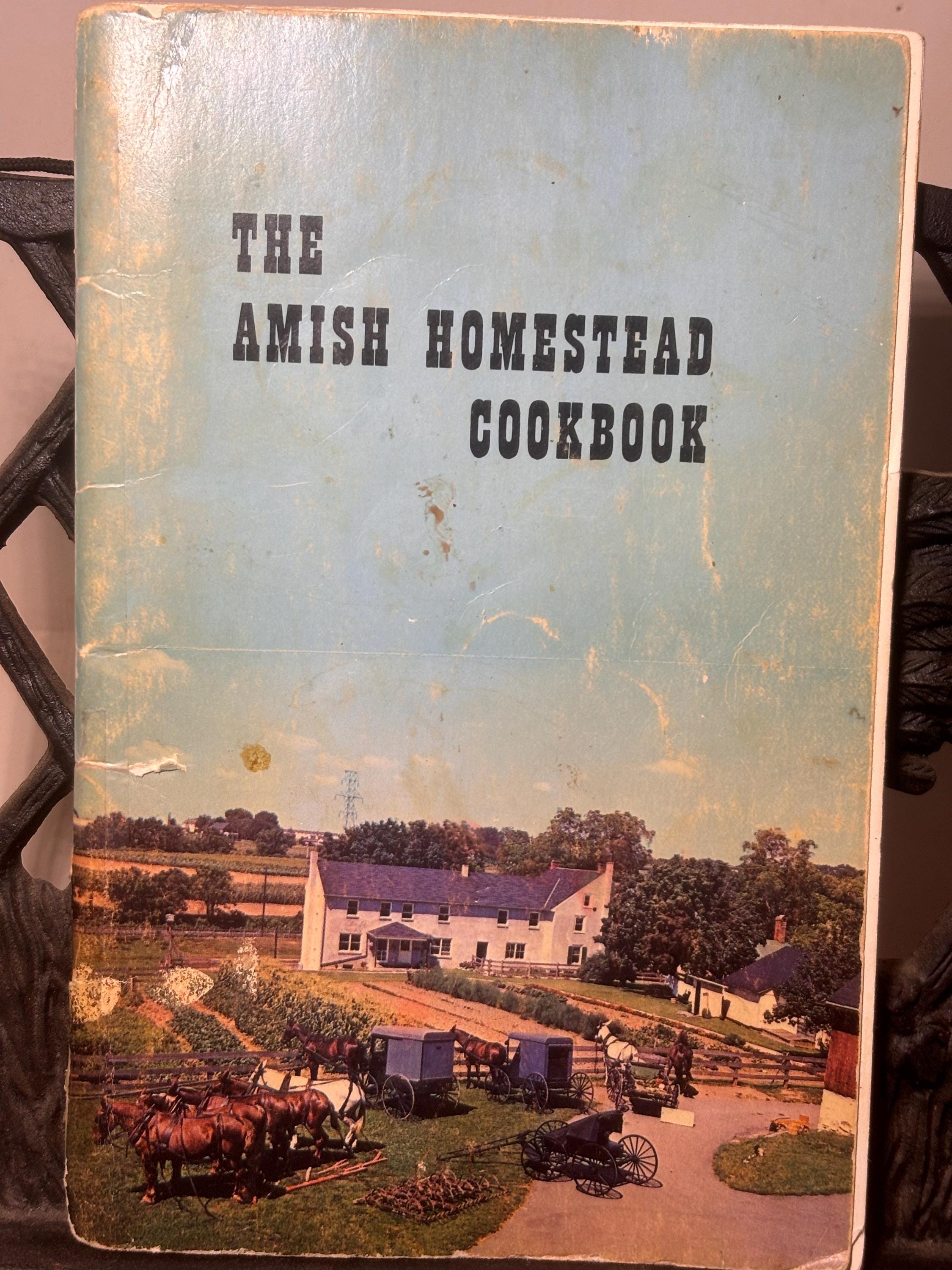 Vintage Amish Cookbook the Amish Homestead Dutch Recipes - Etsy