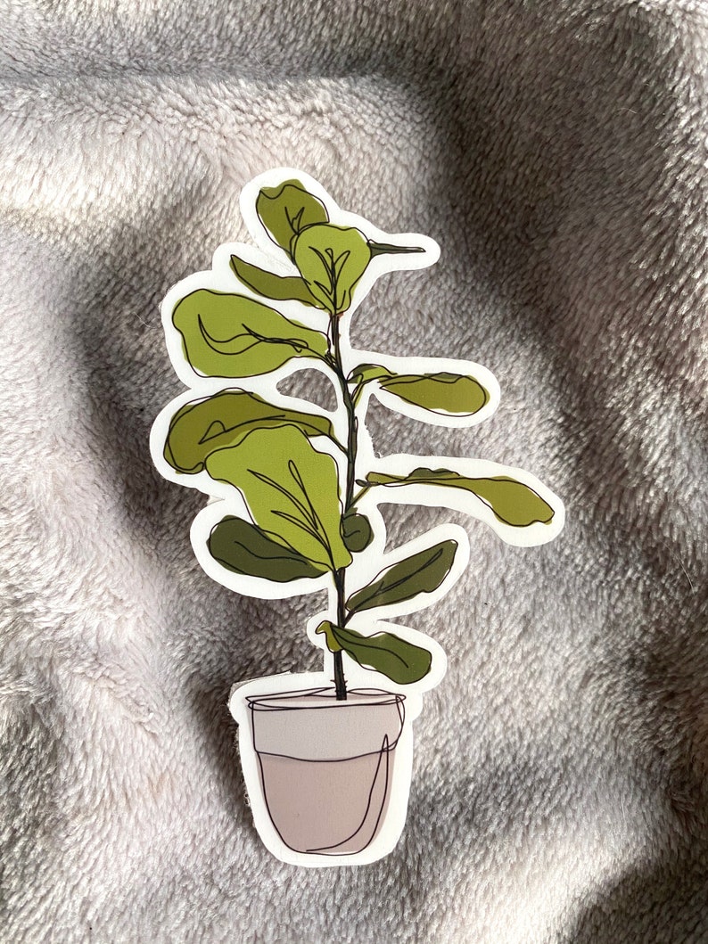Fiddle Leaf Fig Plant Sticker Weatherproof Vinyl Sticker - Etsy