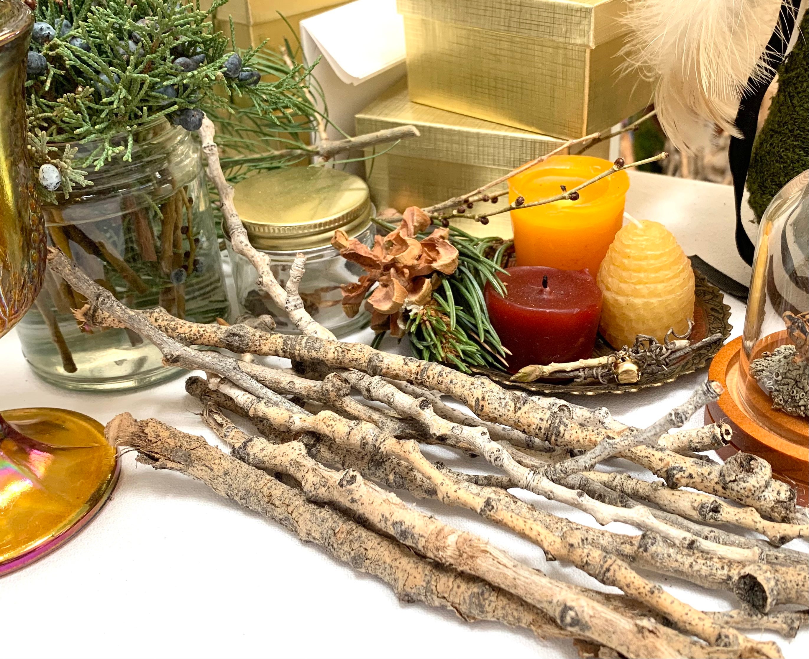 Real Cottonwood Twigs & Branches Stars Naturally Occurring | Etsy