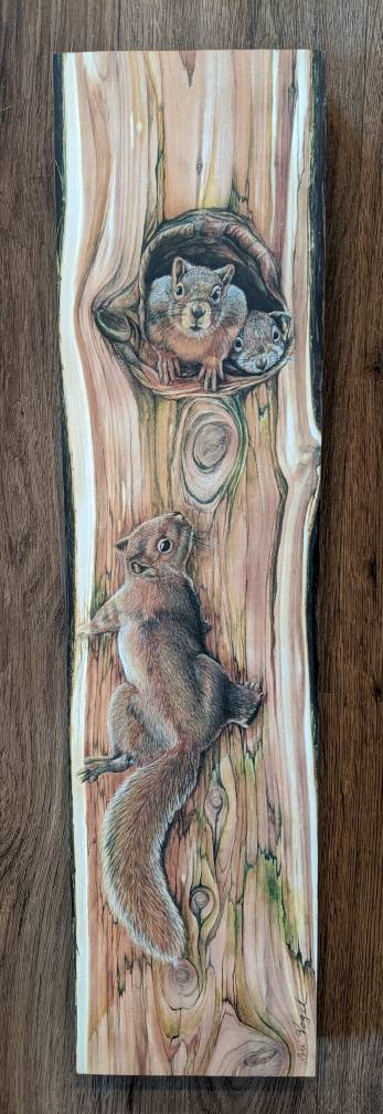 Three in a Tree Squirrels Wildlife Nature Animals Mounted - Etsy