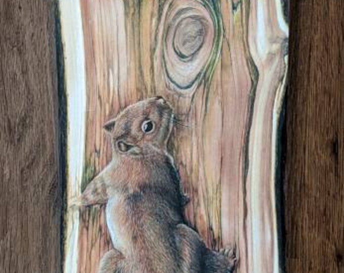 Three in a Tree, Squirrels, Wildlife, Nature, Animals, Mounted Prints ...