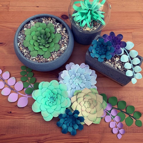 Succulents Template Files in SVG and PDF Paper Succulent - Etsy