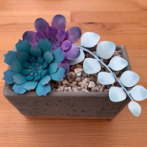 Succulents Template Files in SVG and PDF, Paper Succulent Flowers and ...