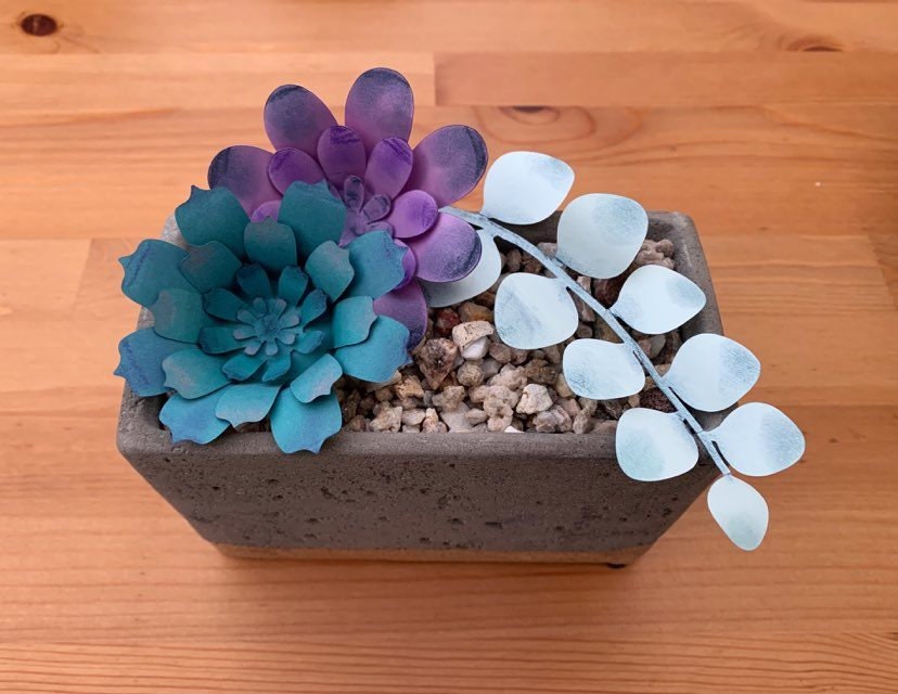 Succulents Template Files in SVG and PDF, Paper Succulent Flowers and ...