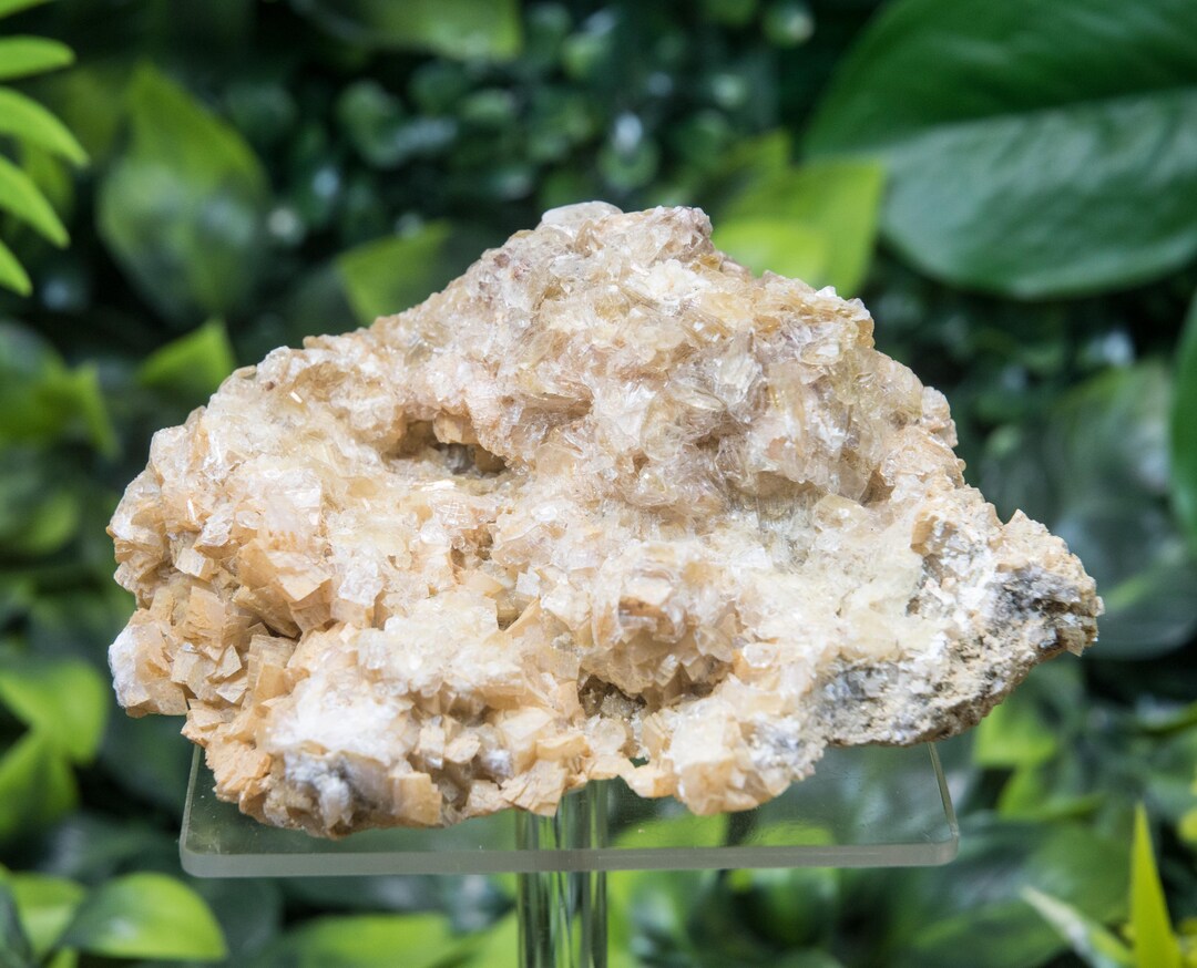 Honey Gypsum Crystal Cluster on Dolomite, Natural Collector Display ...