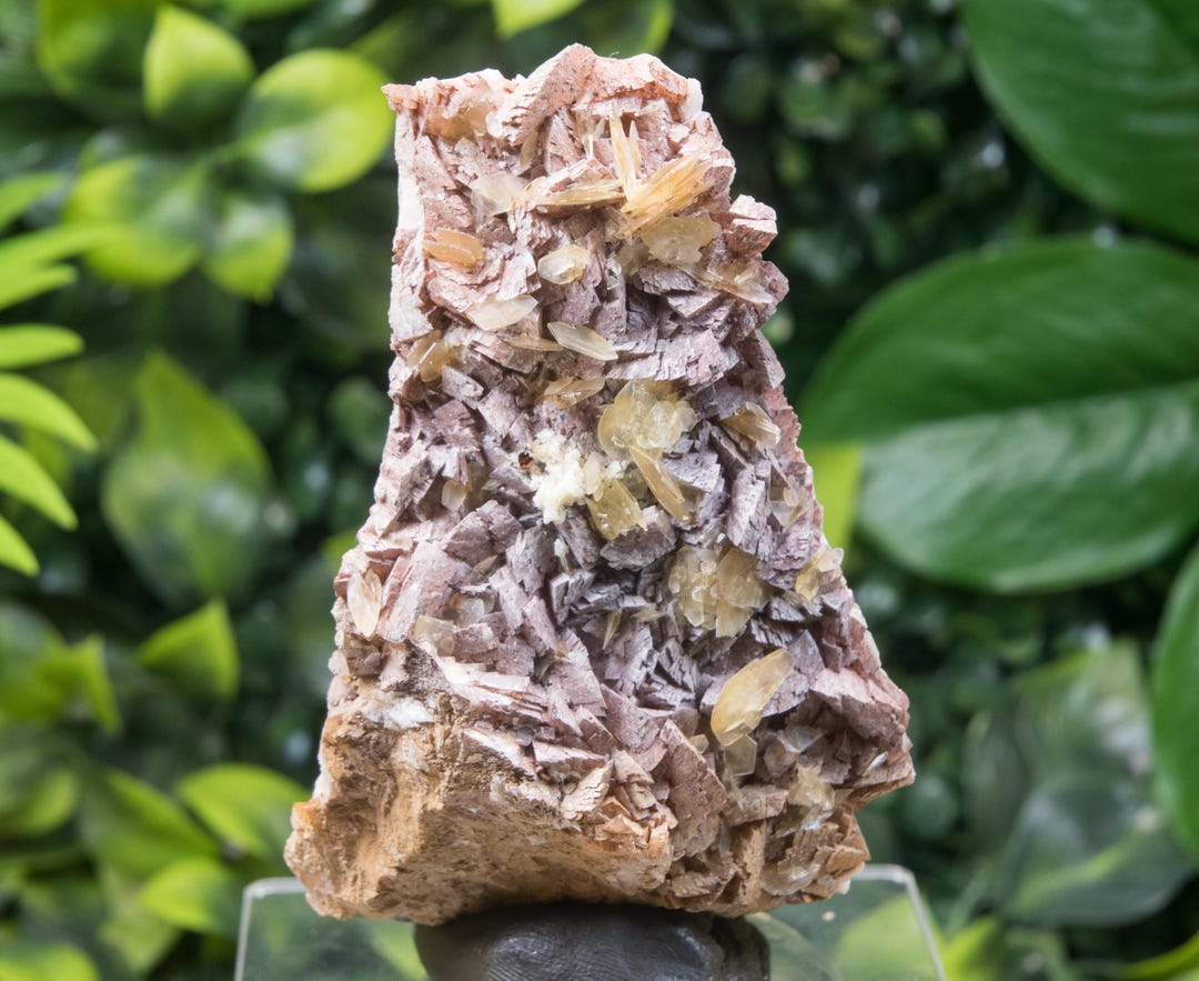 Gypsum Crystal Blades on Dolomite – Morocco | Natural Mineral Specimen ...
