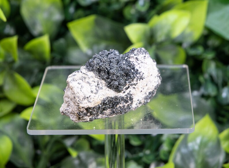 Rare Natural Hematite on Matrix, Forming Well Defined Crystals Hematite ...