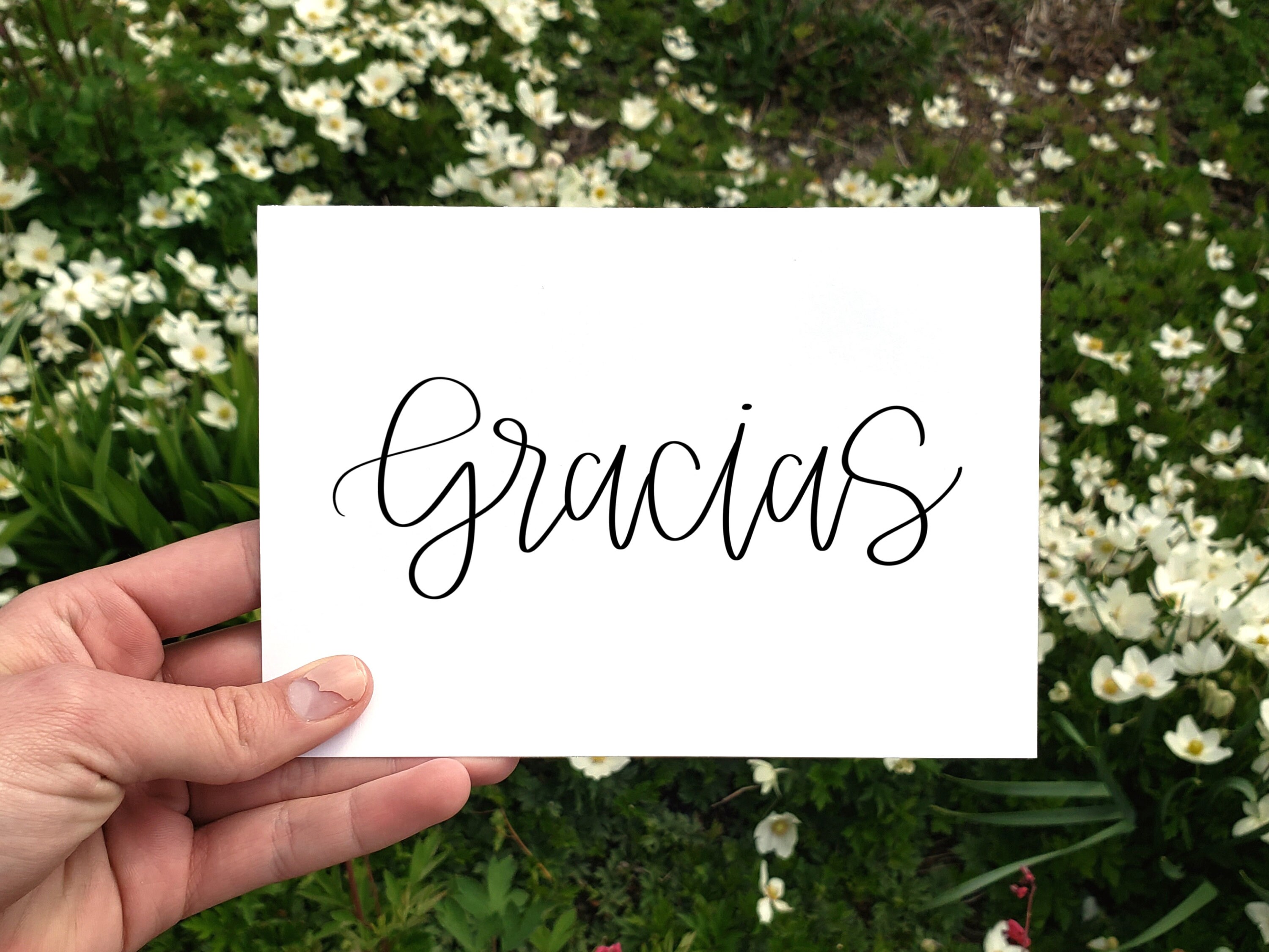 Printable Gracias Card, Gracias Card, Instant Download Thank You Card ...