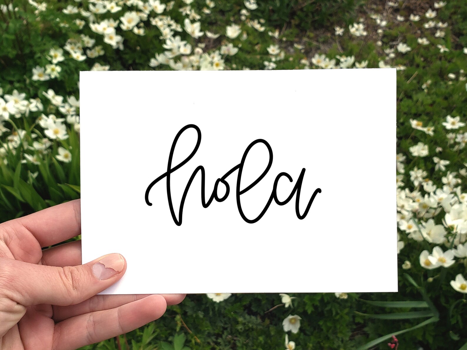 Printable Hola Card, Digital Download Hello Card, Minimalist Greeting ...