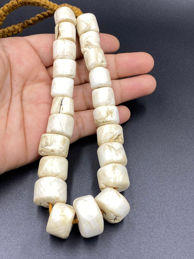 Rare Unique Beautiful Very Old Ancient African Shell - Etsy