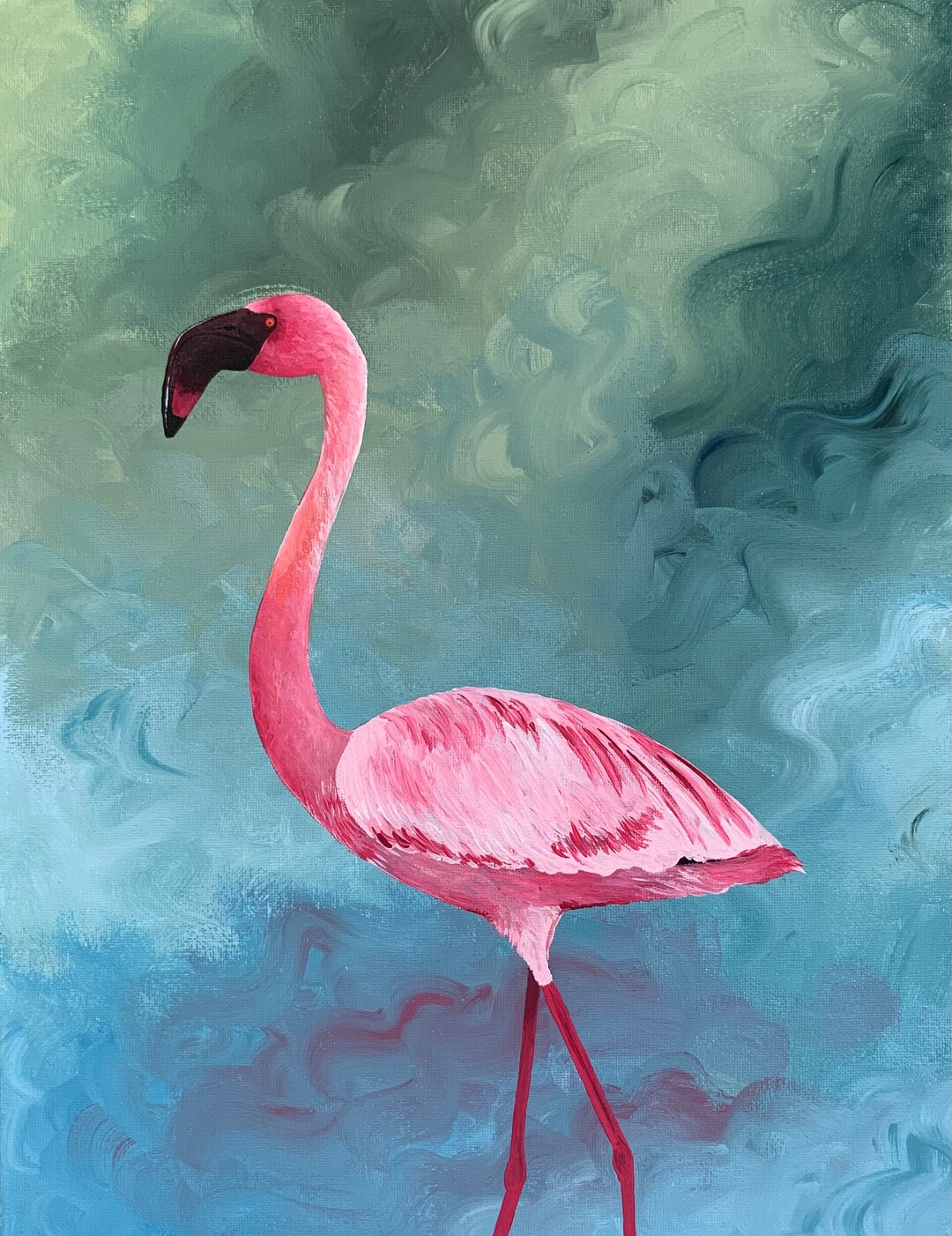Lesser Flamingo, Limited Edition Print - Etsy