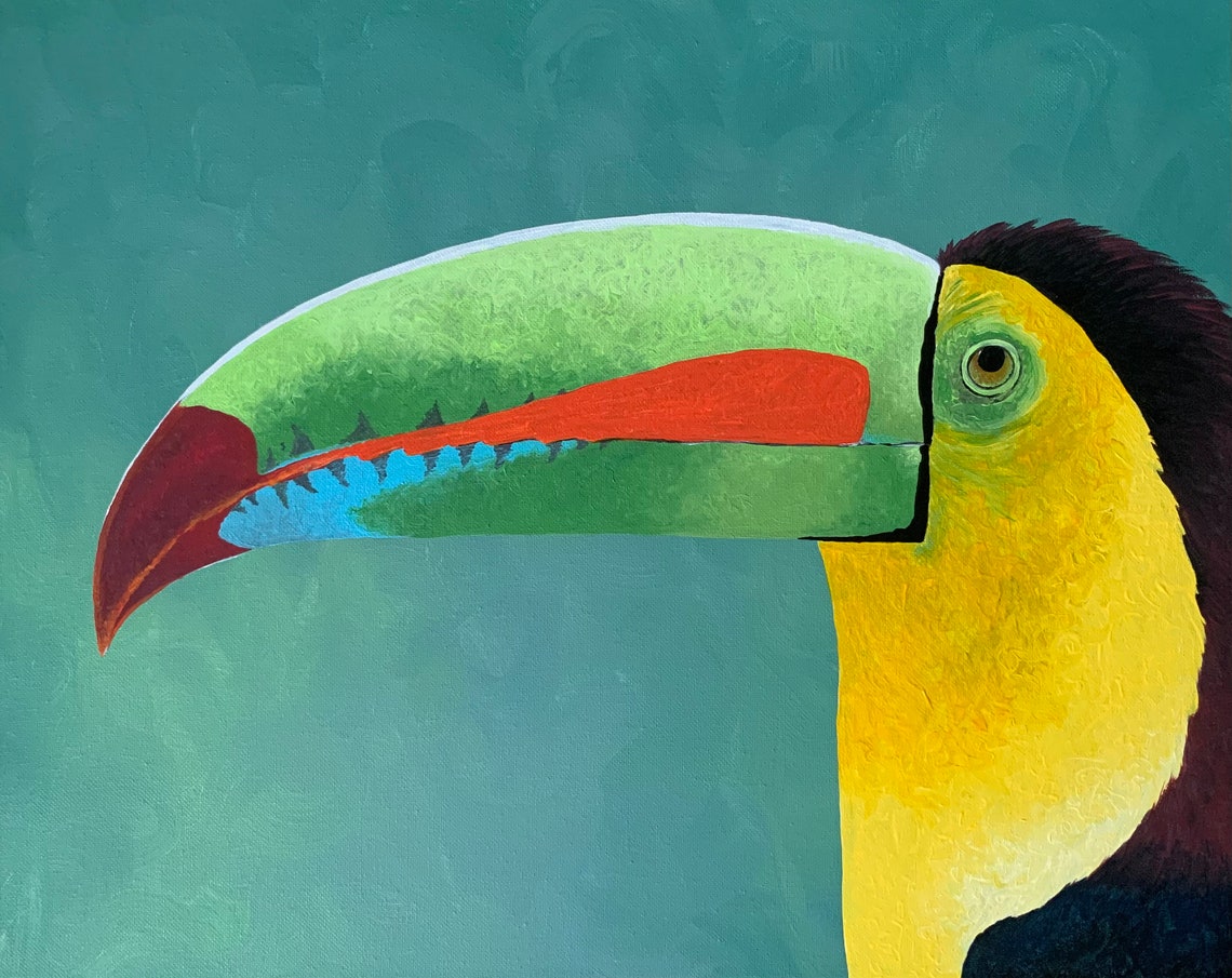 Keel-billed Toucan, Limited Edition Print - Etsy