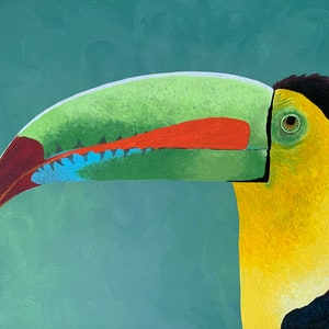 Keel-billed Toucan, Limited Edition Print - Etsy