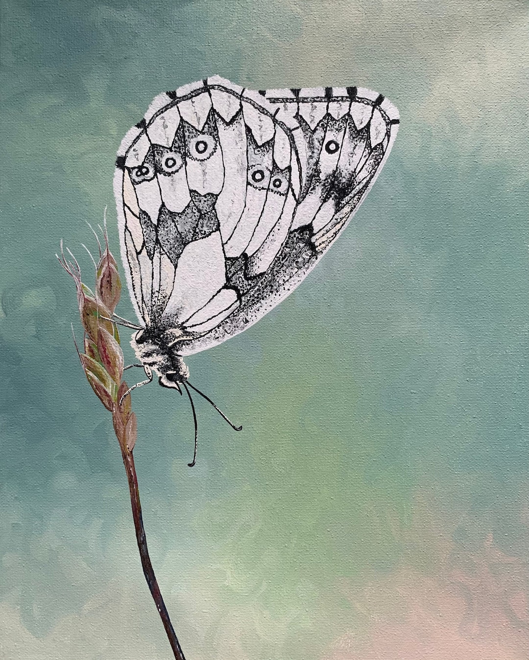 Marbled White Butterfly, Limited Edition Print - Etsy