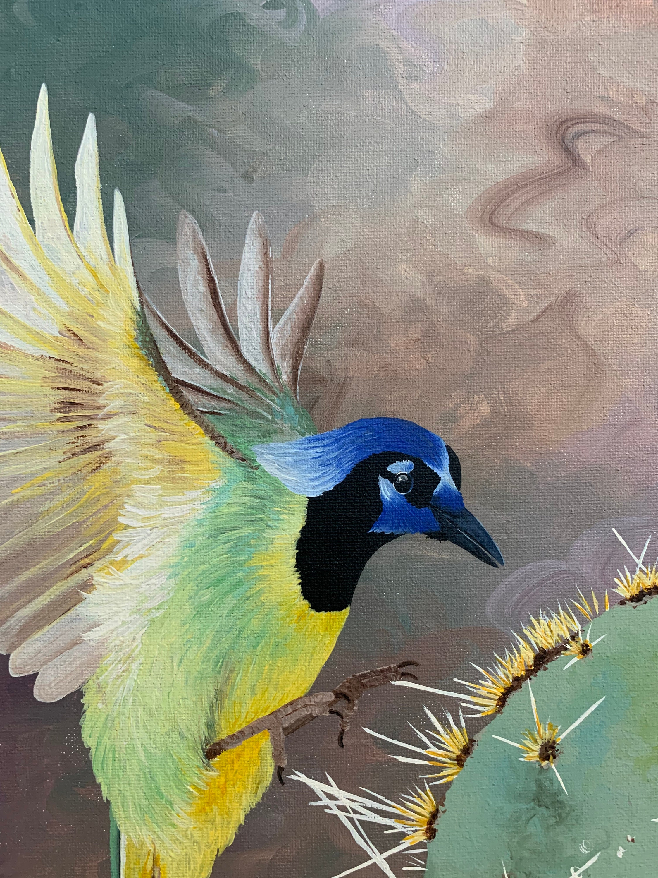 Green Jay Bird