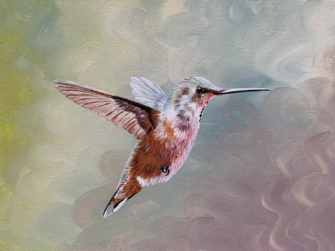 Rufous Hummingbird, Limited Edition Print - Etsy