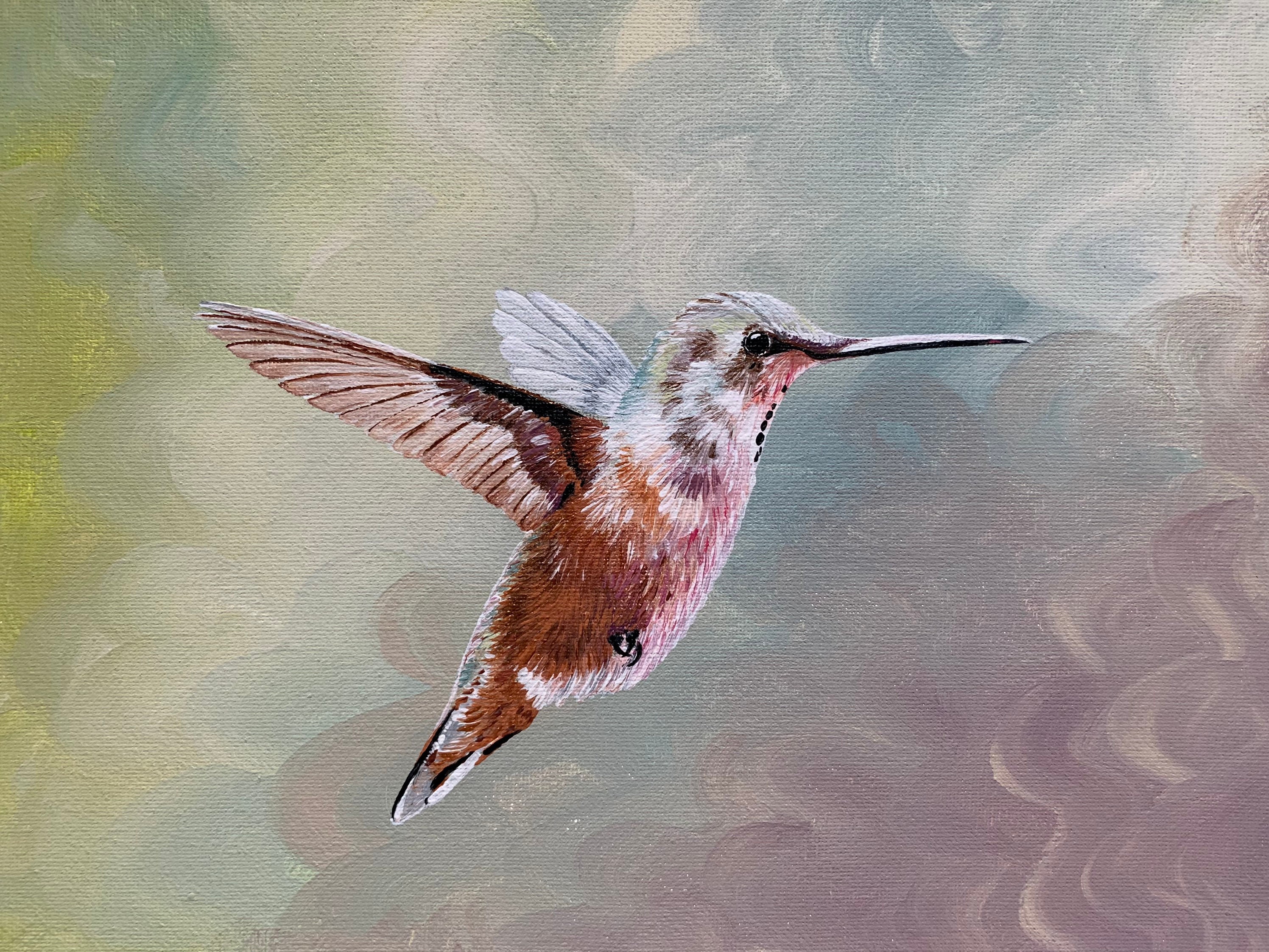 Rufous Hummingbird, Limited Edition Print - Etsy