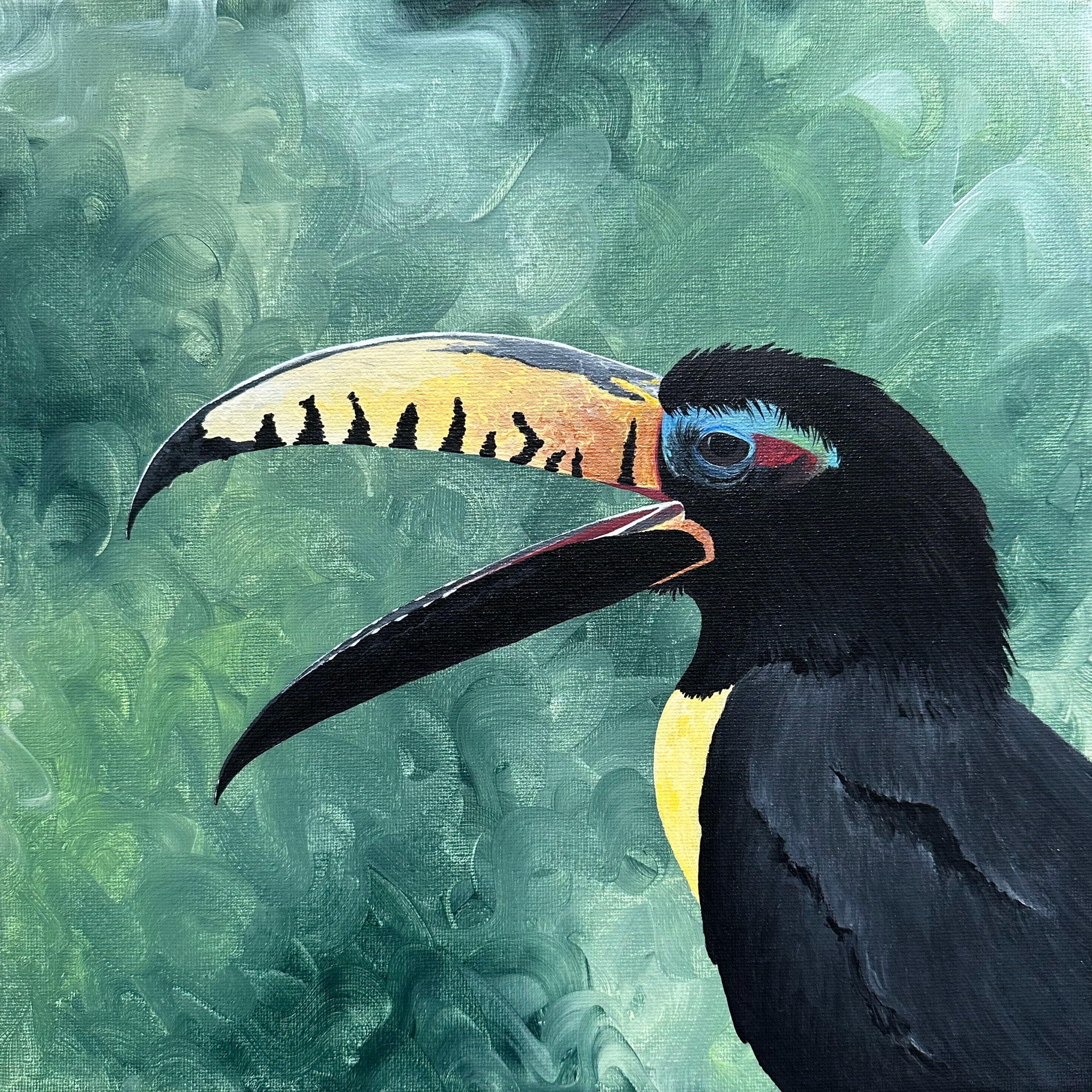 Lettered Aracari, Limited Edition Print - Etsy
