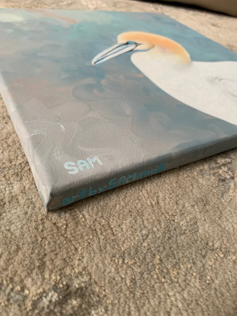 Northern Gannet, Acrylic Bird Painting - Etsy