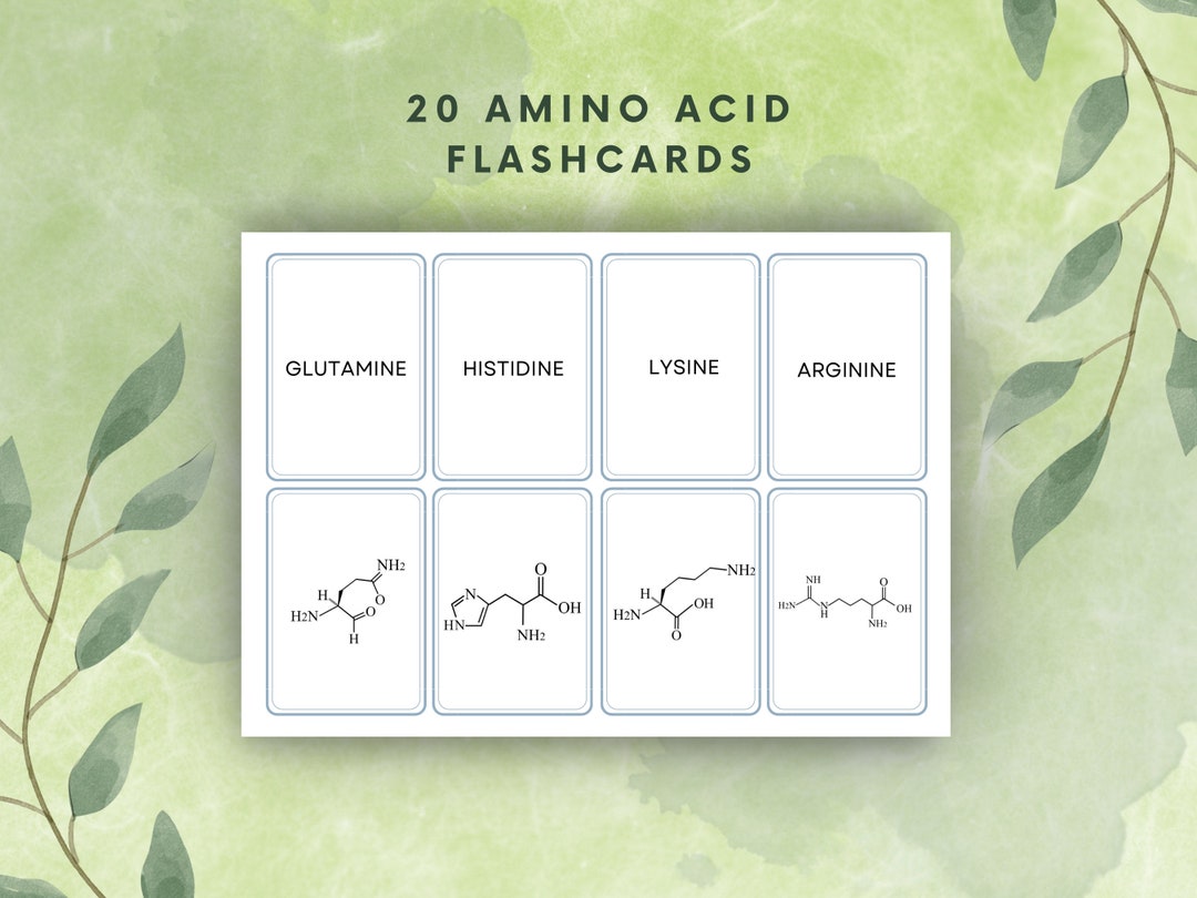 20 Amino Acid Flashcards - Etsy