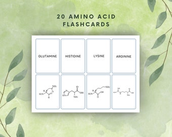 Organic Chemistry Flashcards, Printable Chemistry Flashcards, Amino ...