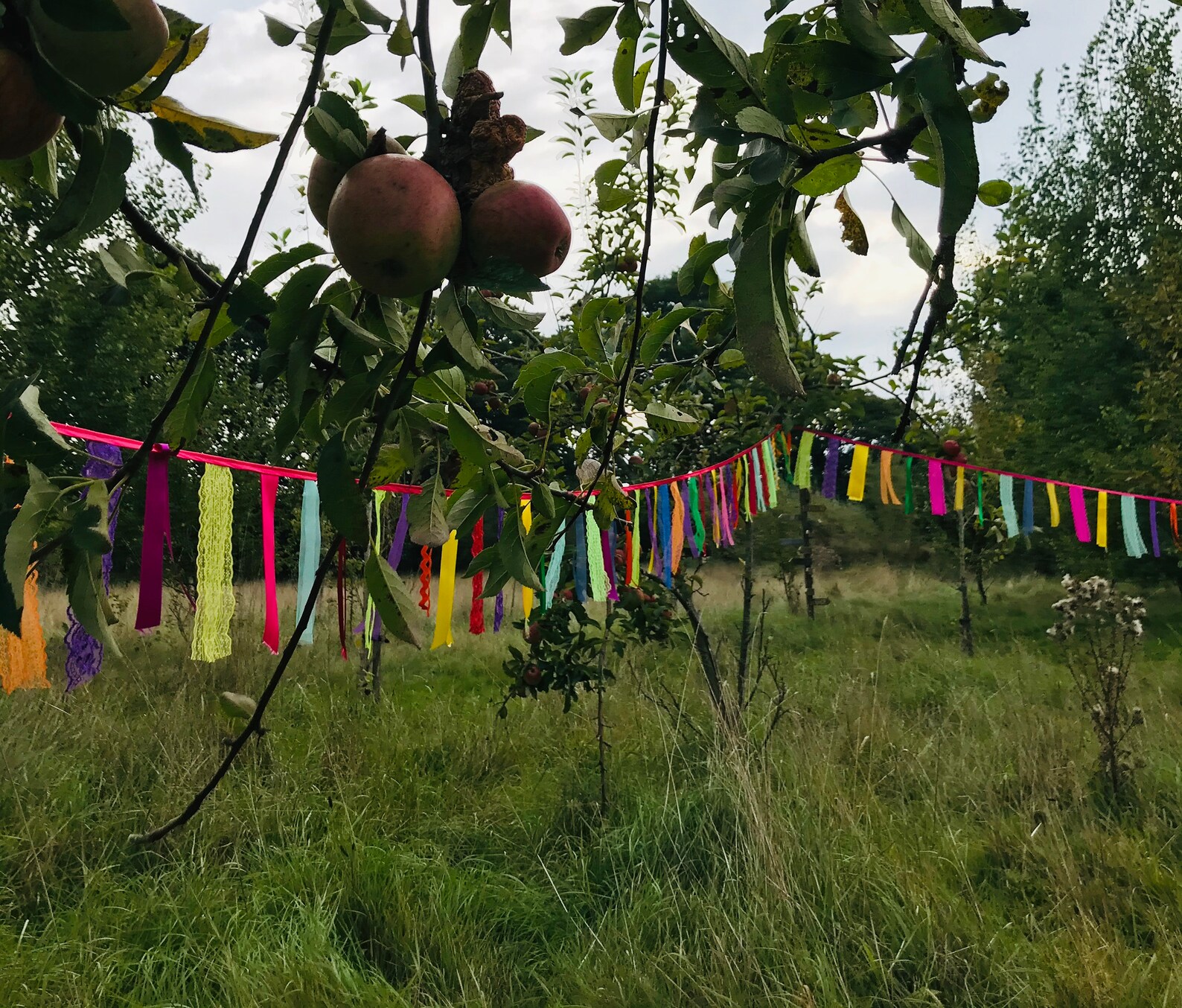 Fiesta Fiesta Ribbon Bunting - Etsy