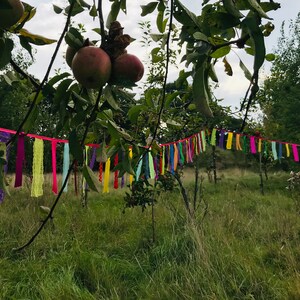 Fiesta Fiesta Ribbon Bunting - Etsy